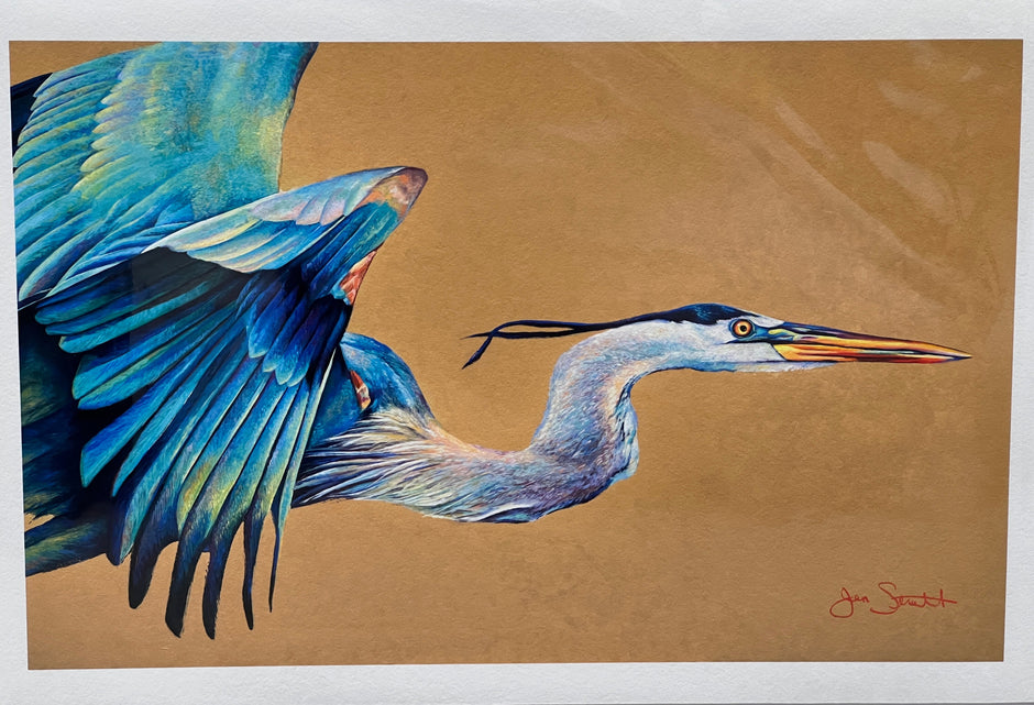 Prints – Jen Starwalt Contemporary Wildlife Art