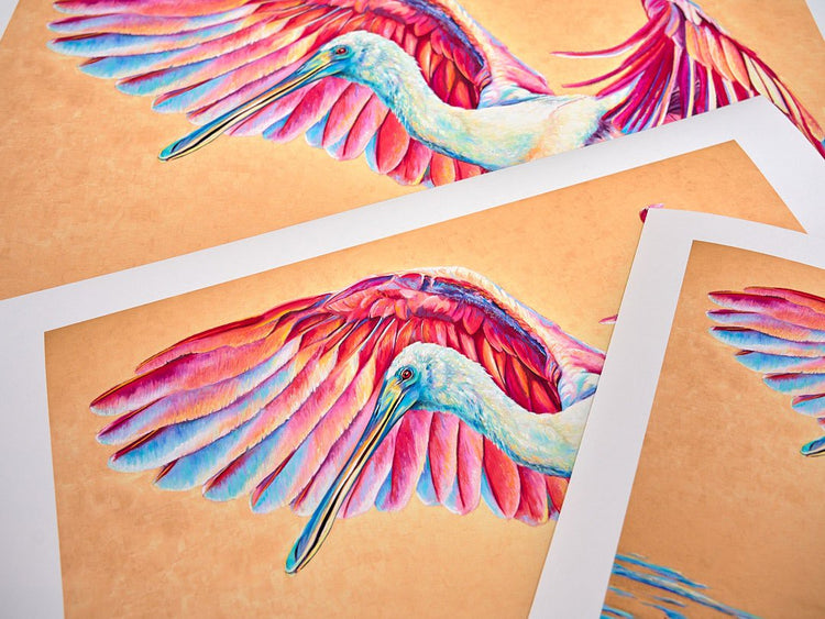 Prints – Jen Starwalt Contemporary Wildlife Art